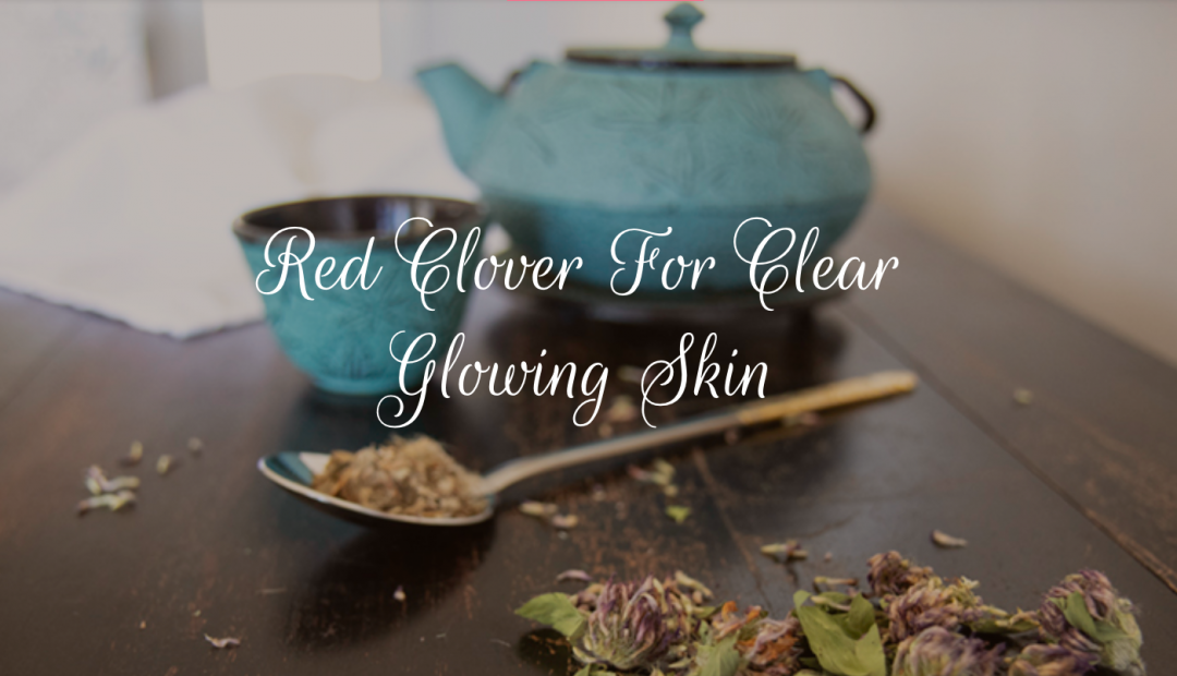 Red Clover Tea For Clear Glowing Skin - Journey To Glow